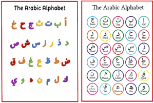 Arabic Alphabet (The Language of the Quran) | DarulQuran Academy